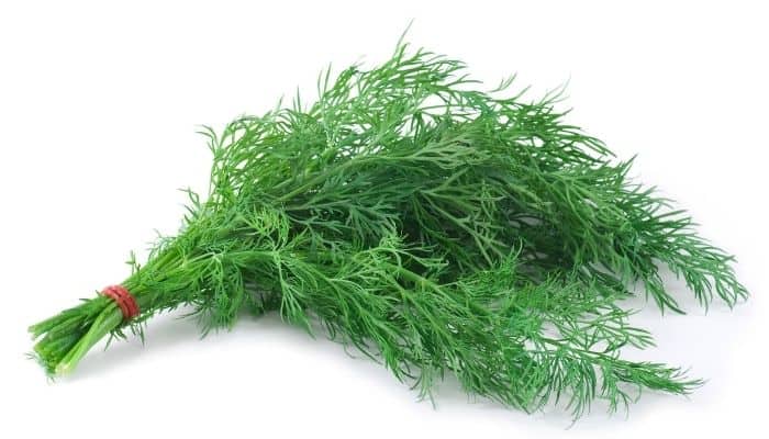 Ultimate Guide to Freezing Spices and Herbs